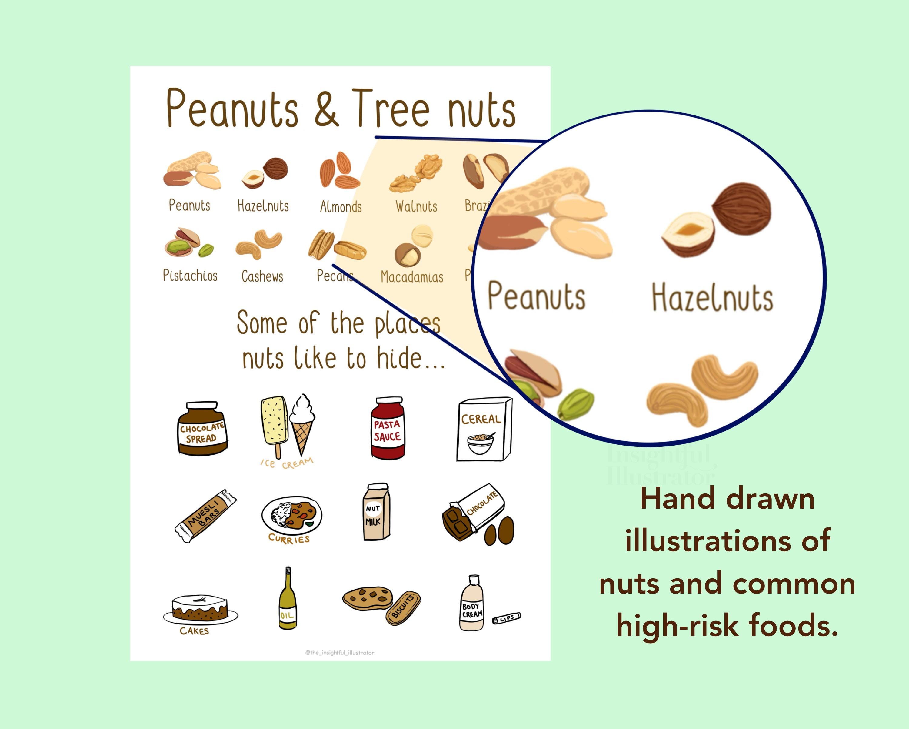 All Nuts Allergy Information Poster - Information Sheet - Teacher ...