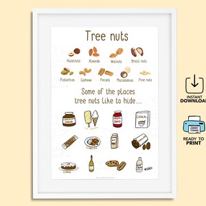 Tree Nut Allergy Warning Poster - Information Sheet - Teacher, School ...