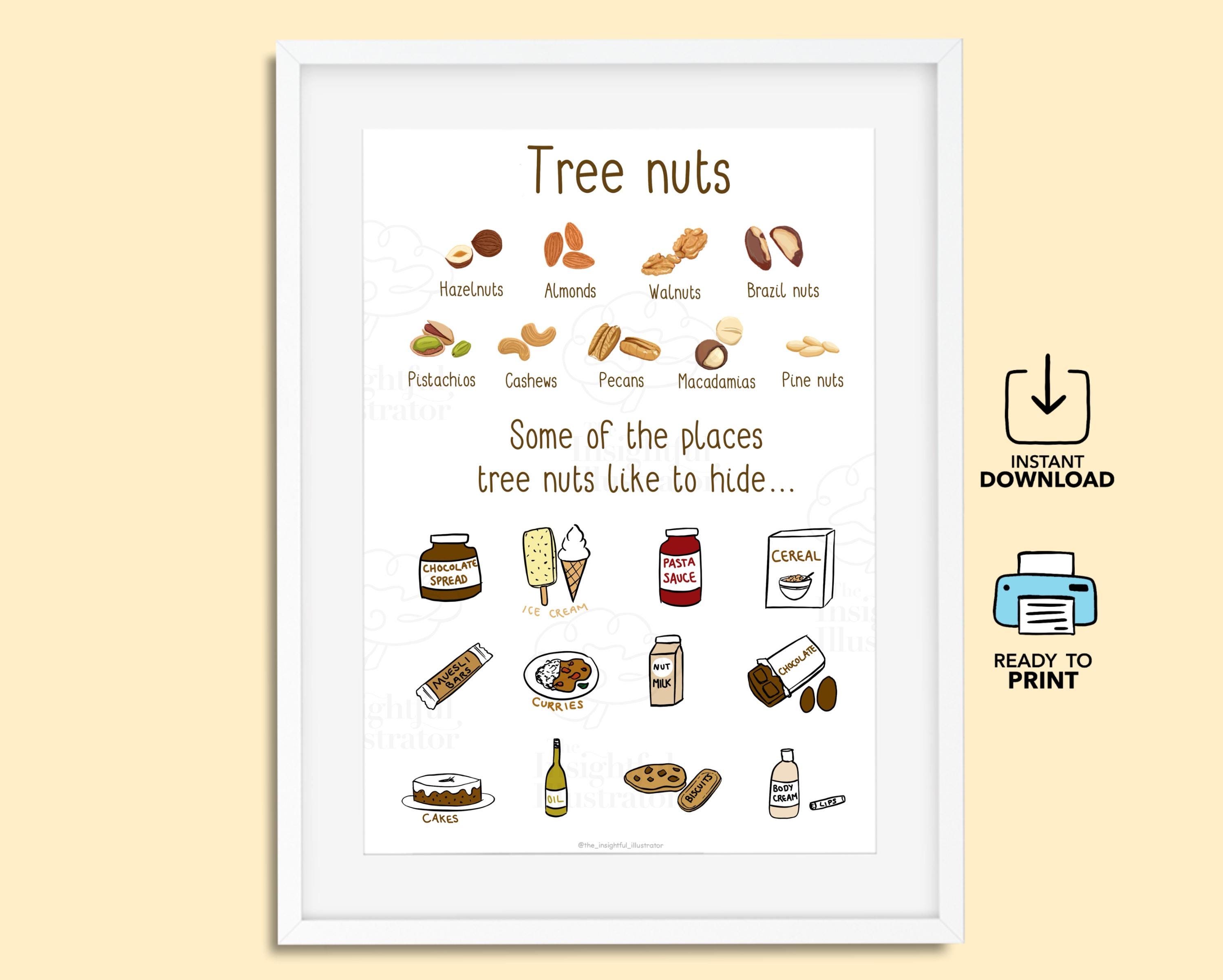 Tree Nut Allergy Warning Poster - Information Sheet - Teacher, School ...