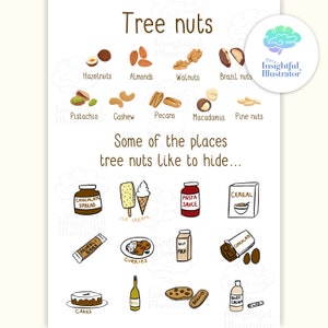 Tree Nut Allergy Warning Poster Information Sheet Teacher, School ...