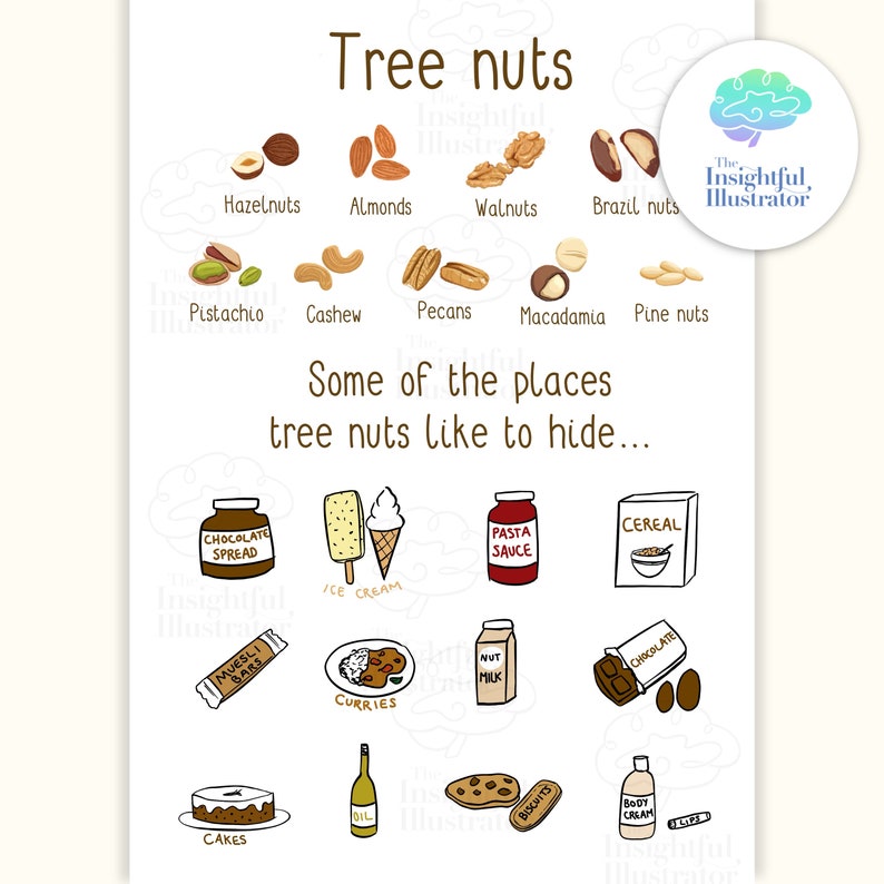 Tree Nut Allergy Warning Poster Information Sheet Teacher, School ...