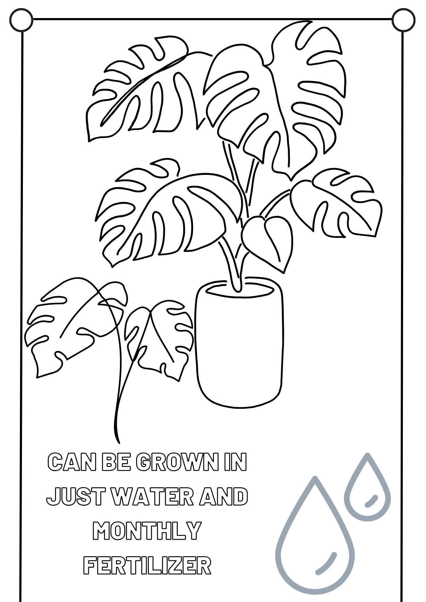 Monstera Care Adult Coloring Book for Art Therapy While Learning About ...