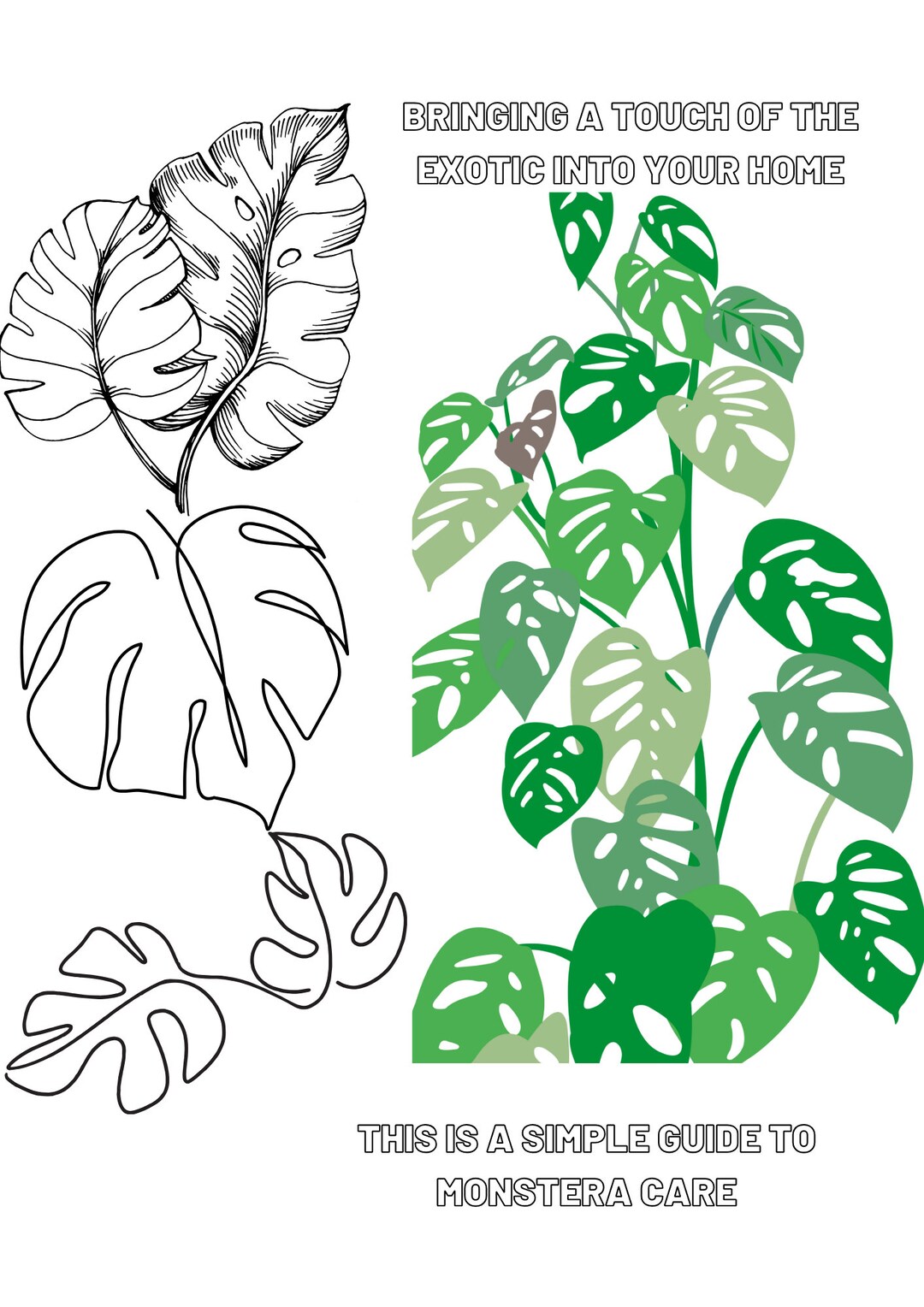Monstera Care Adult Coloring Book for Art Therapy While Learning About ...