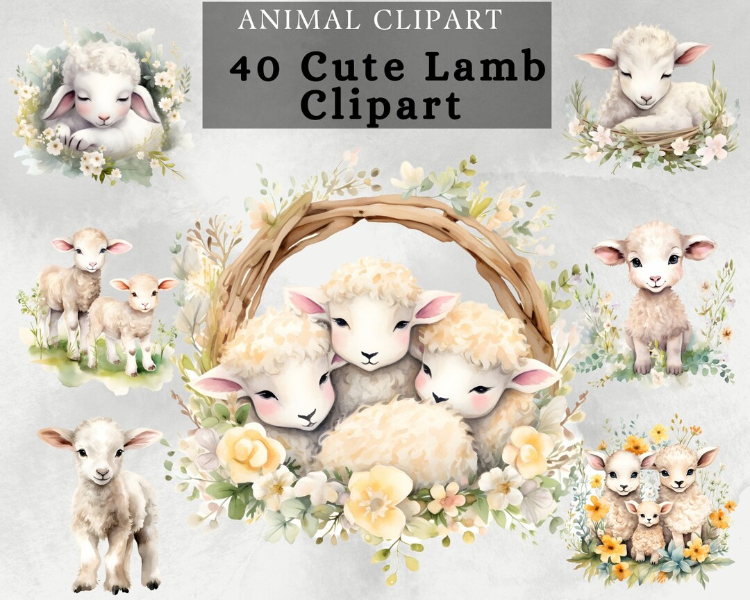 Cute Lamb Png Clipart , Watercolor Lamb Transparent Png , Floral Lamb ...