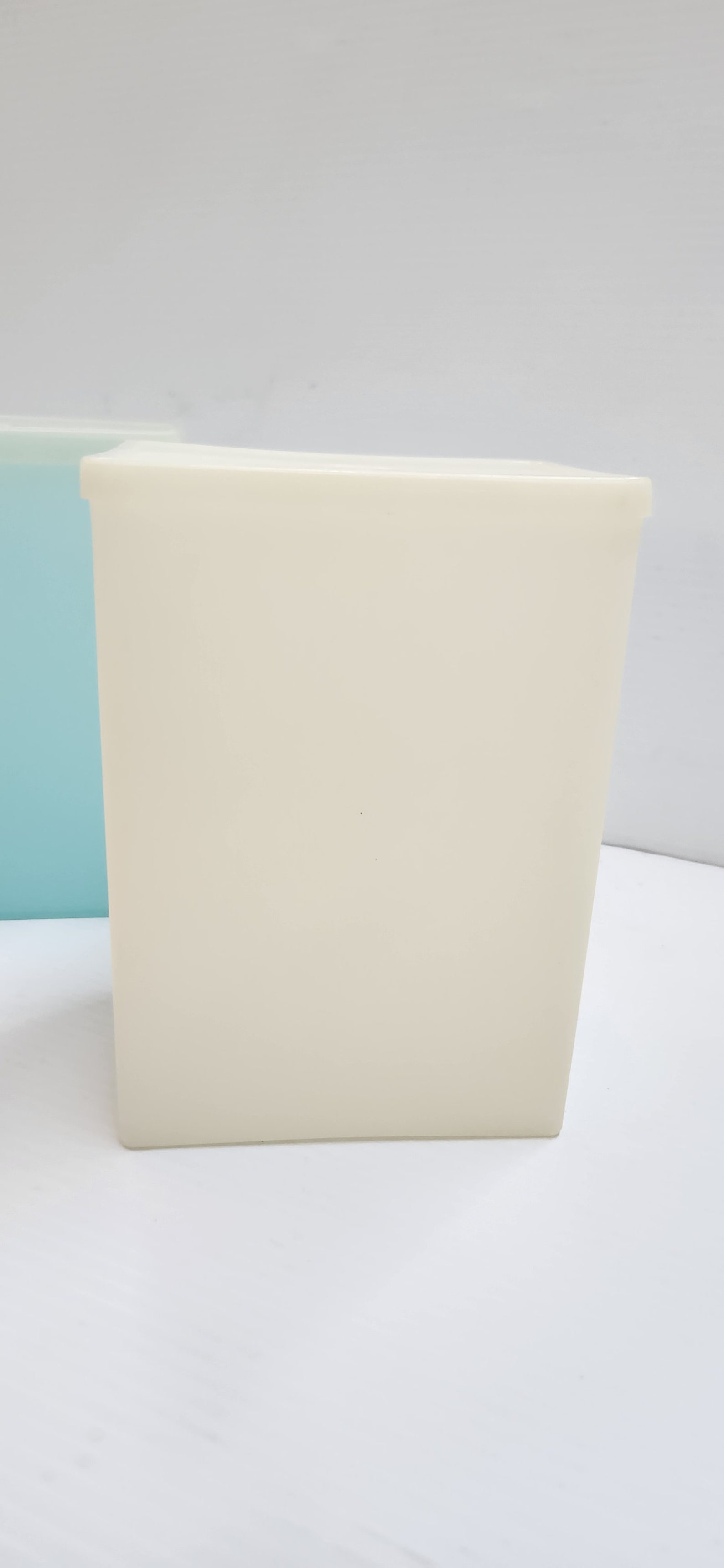 Vintage Pastel Blue and Clear Tupperware Freezer Keeper Container 484-4 ...