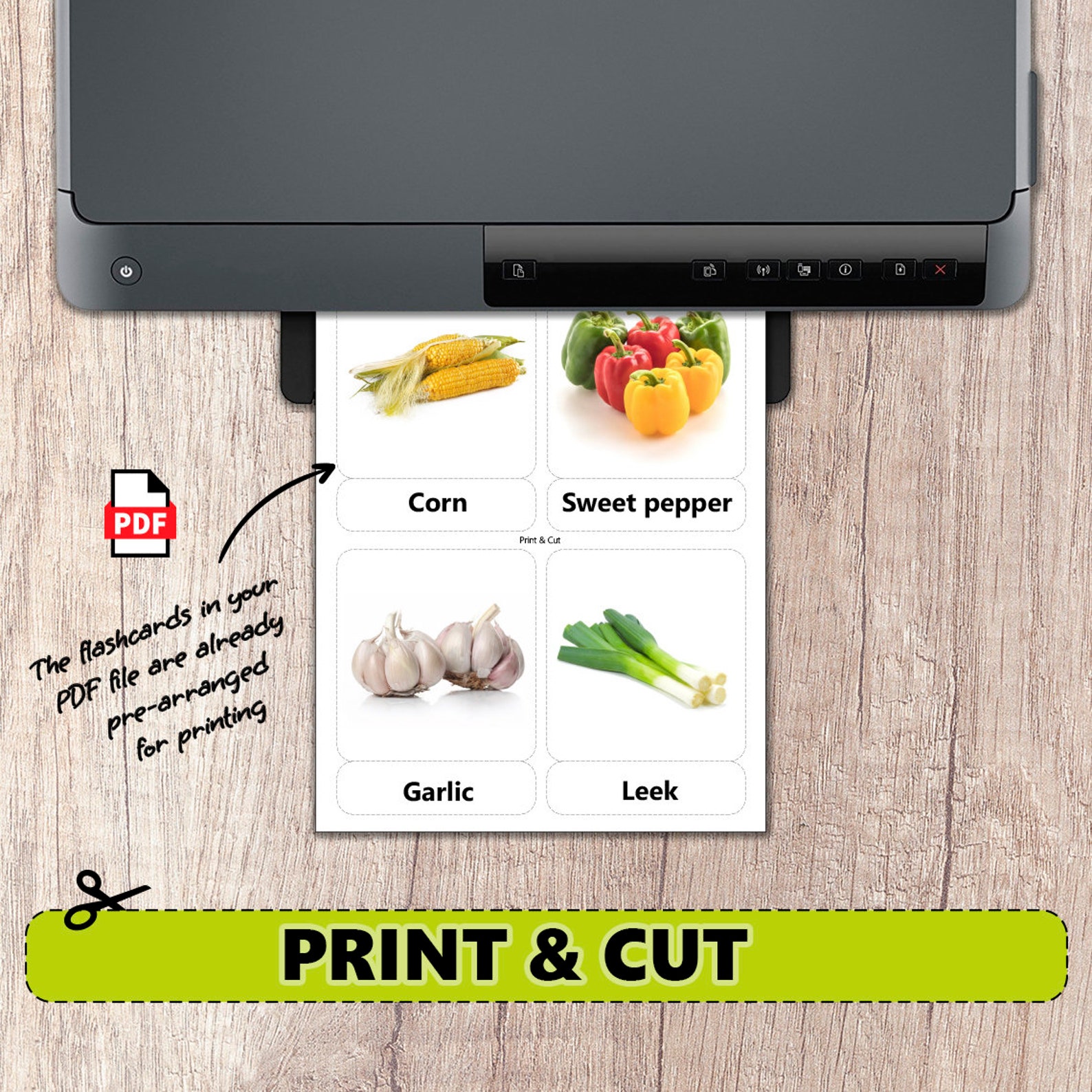 40 Vegetables Flash Cards (real Pictures) • Montessori Cards ...