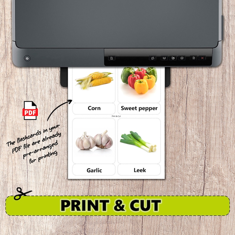 40 Vegetables Flash Cards real Pictures Montessori Cards Flashcards ...