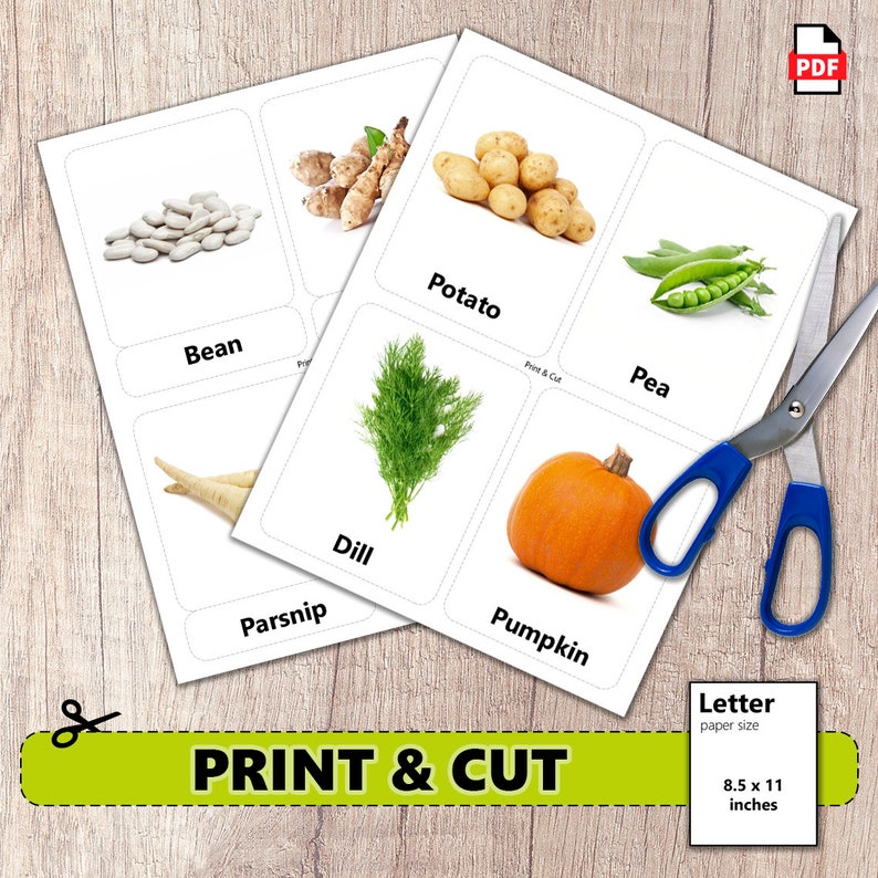 40 Vegetables Flash Cards real Pictures Montessori Cards Flashcards ...