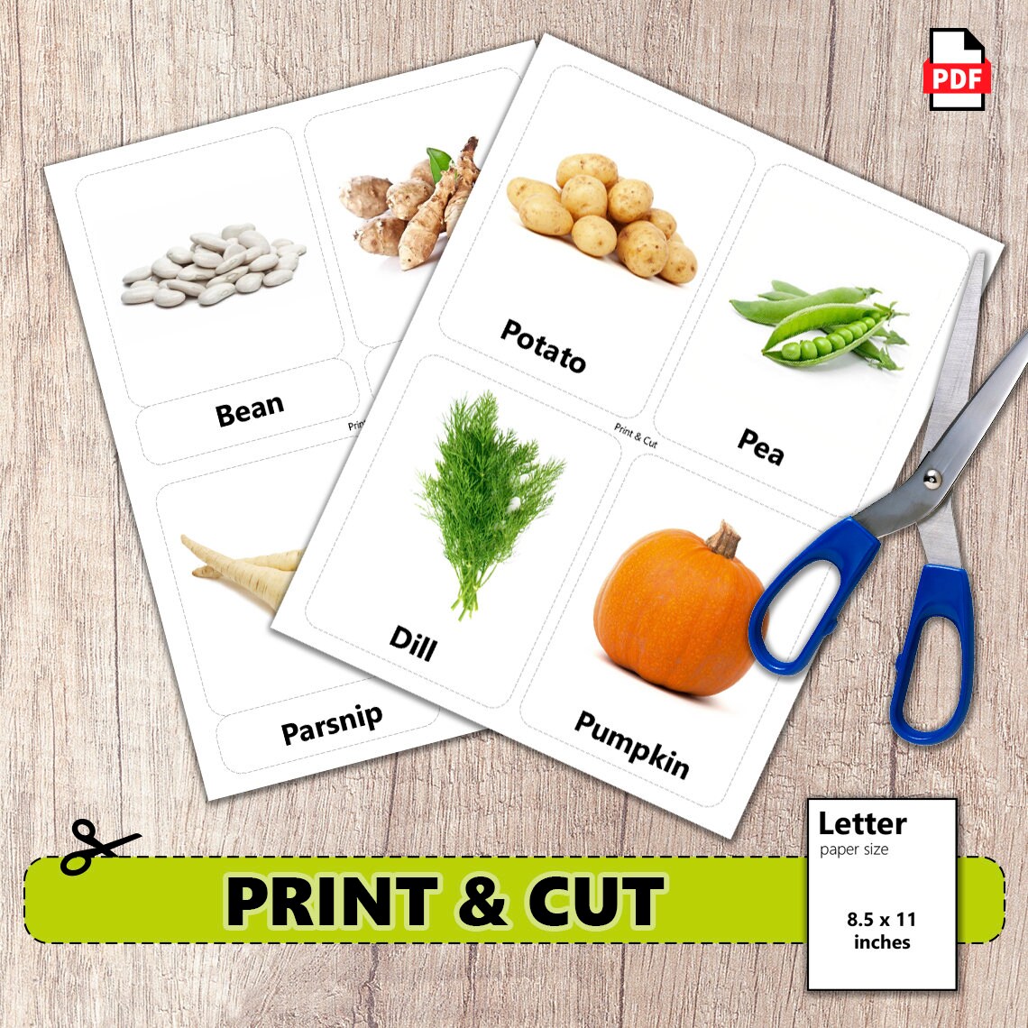 40 Vegetables Flash Cards real Pictures Montessori Cards Flashcards ...