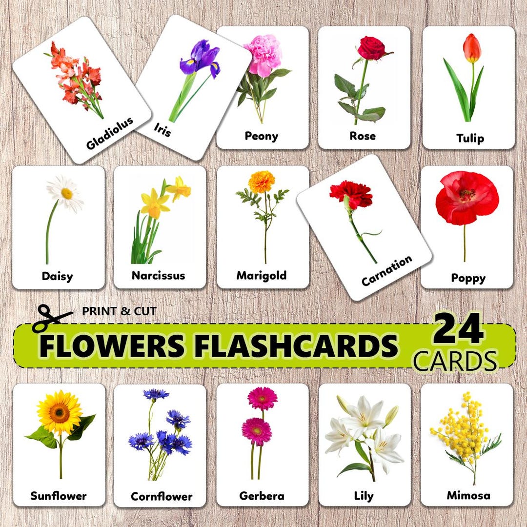 Flower Flashcards, 24 Real Photo Printable Cards for Kids Learning ...