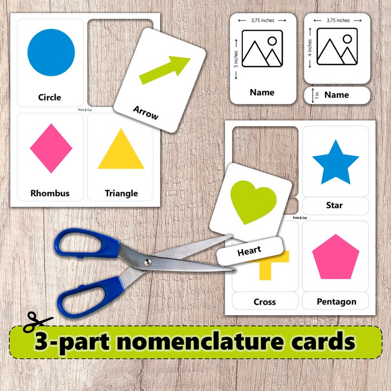 Shapes Flash Cards (24 Cards) | Geometric Shapes Flashcards | Printable ...