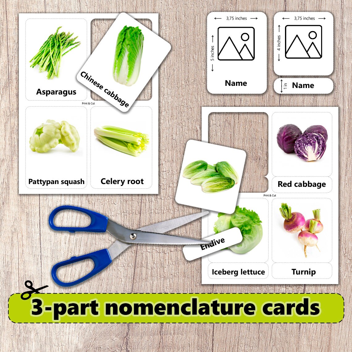 40 Vegetables Flash Cards (real Pictures) • Montessori Cards ...