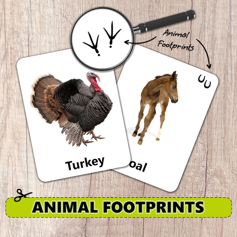 24 Farm Animals & Their Babies Flash Cards (real Pictures) | Printable ...