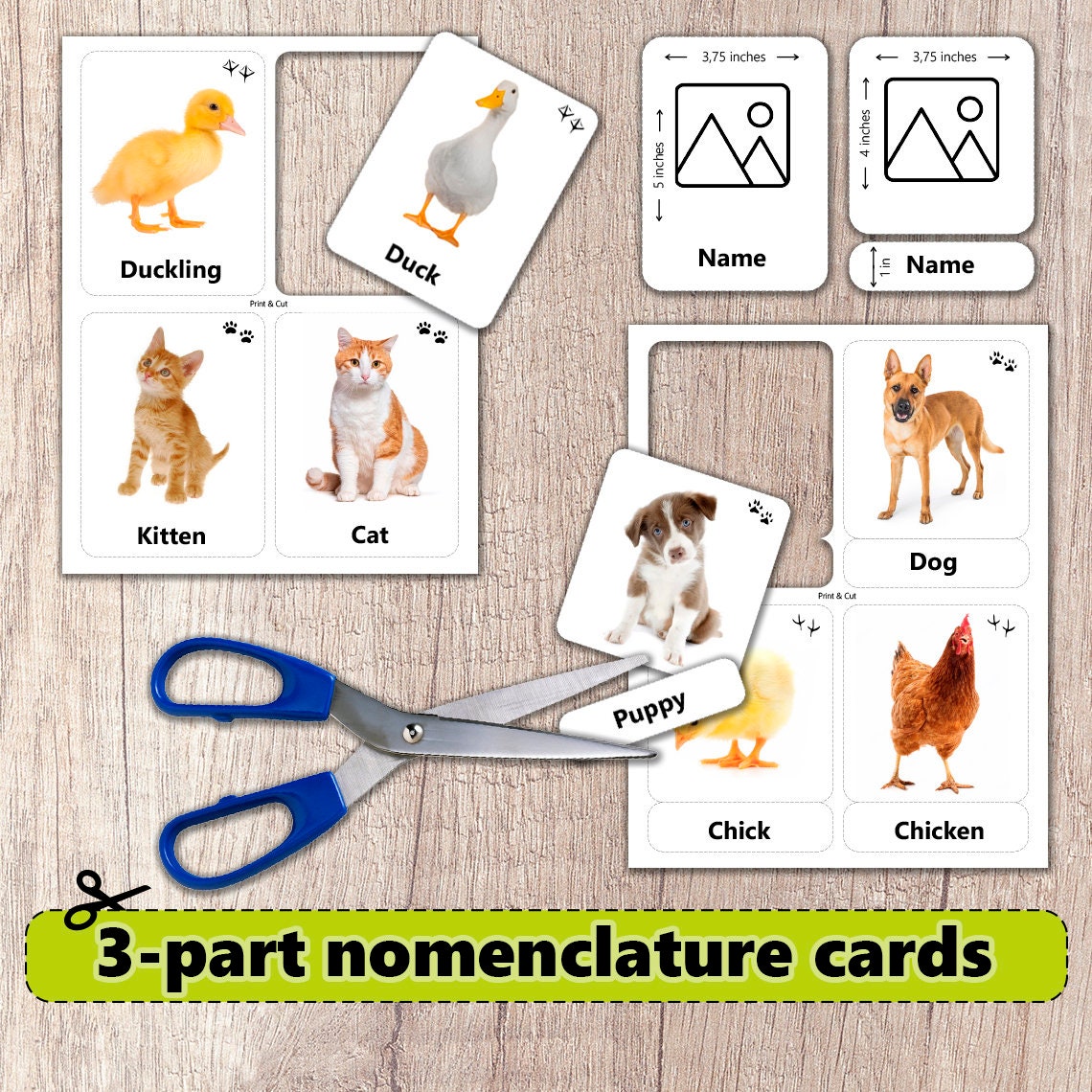 24 Farm Animals & Their Babies Flash Cards (real Pictures) | Printable ...