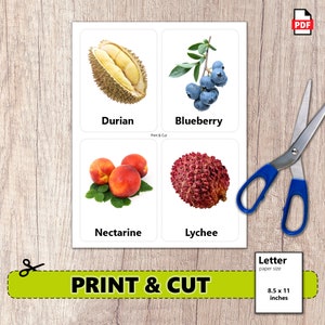 40 Fruits Flash Cards (real Pictures) • Montessori Cards • Flashcards ...