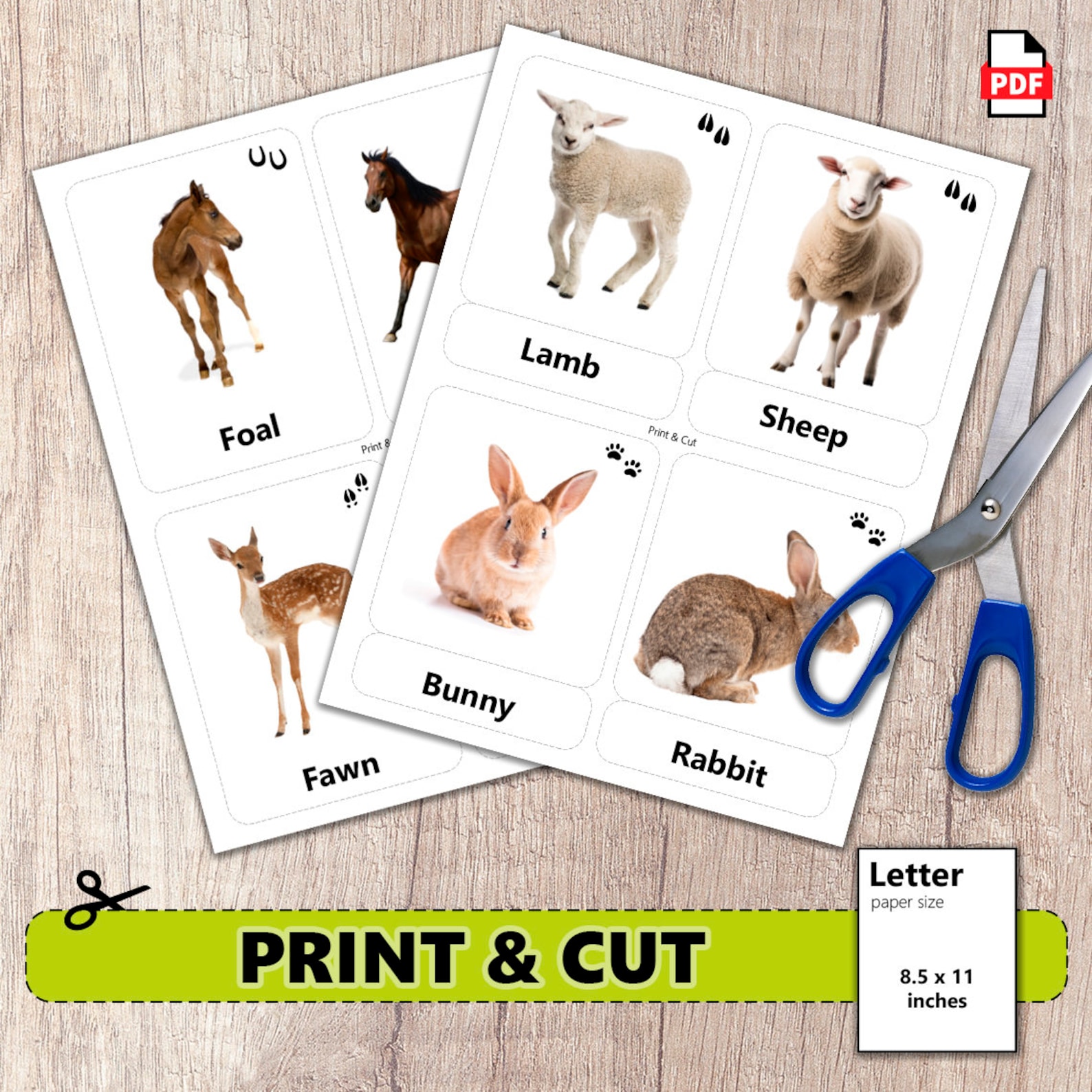 24 Farm Animals & Their Babies Flash Cards (real Pictures) | Printable ...