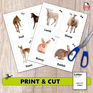 24 Farm Animals & Their Babies Flash Cards (real Pictures) | Printable ...