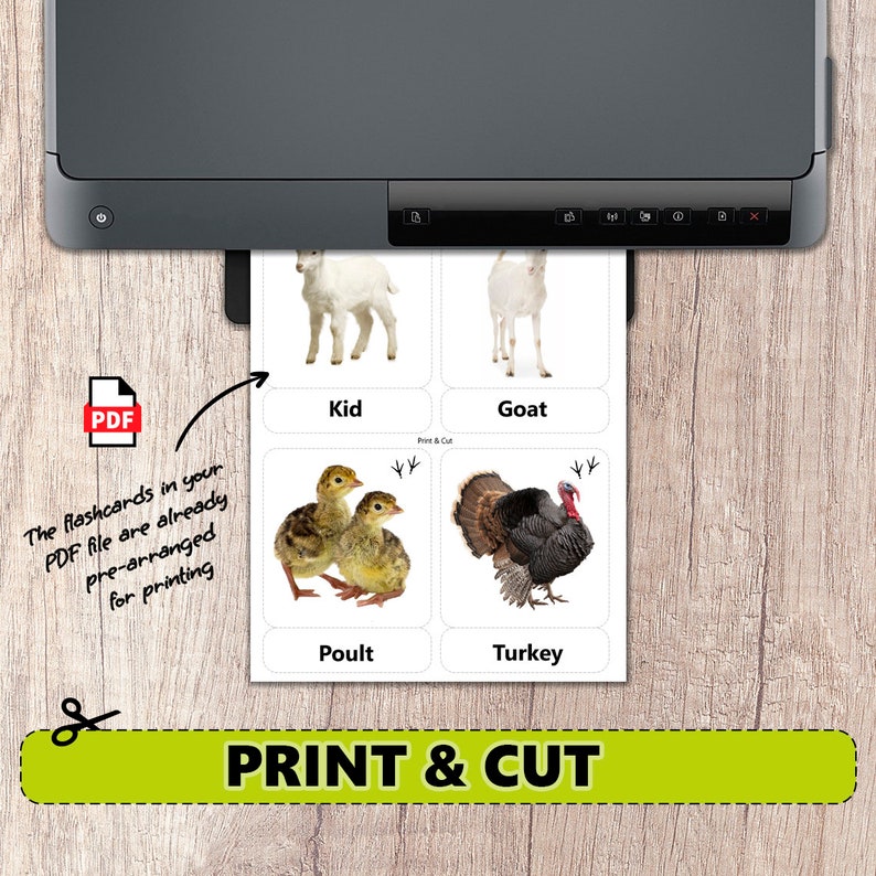 24 Farm Animals & Their Babies Flash Cards (real Pictures) | Printable ...
