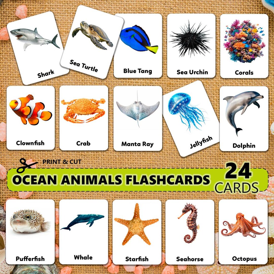 24 Ocean Animals Flashcards | Sea Animal Flash Cards (real Pictures ...