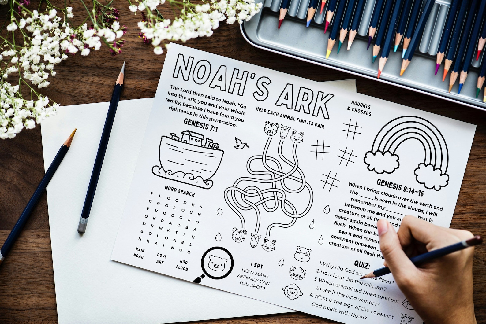 Noahs Ark Acitivity Game Placemat Printable | Flood Rainbow Bible Story ...