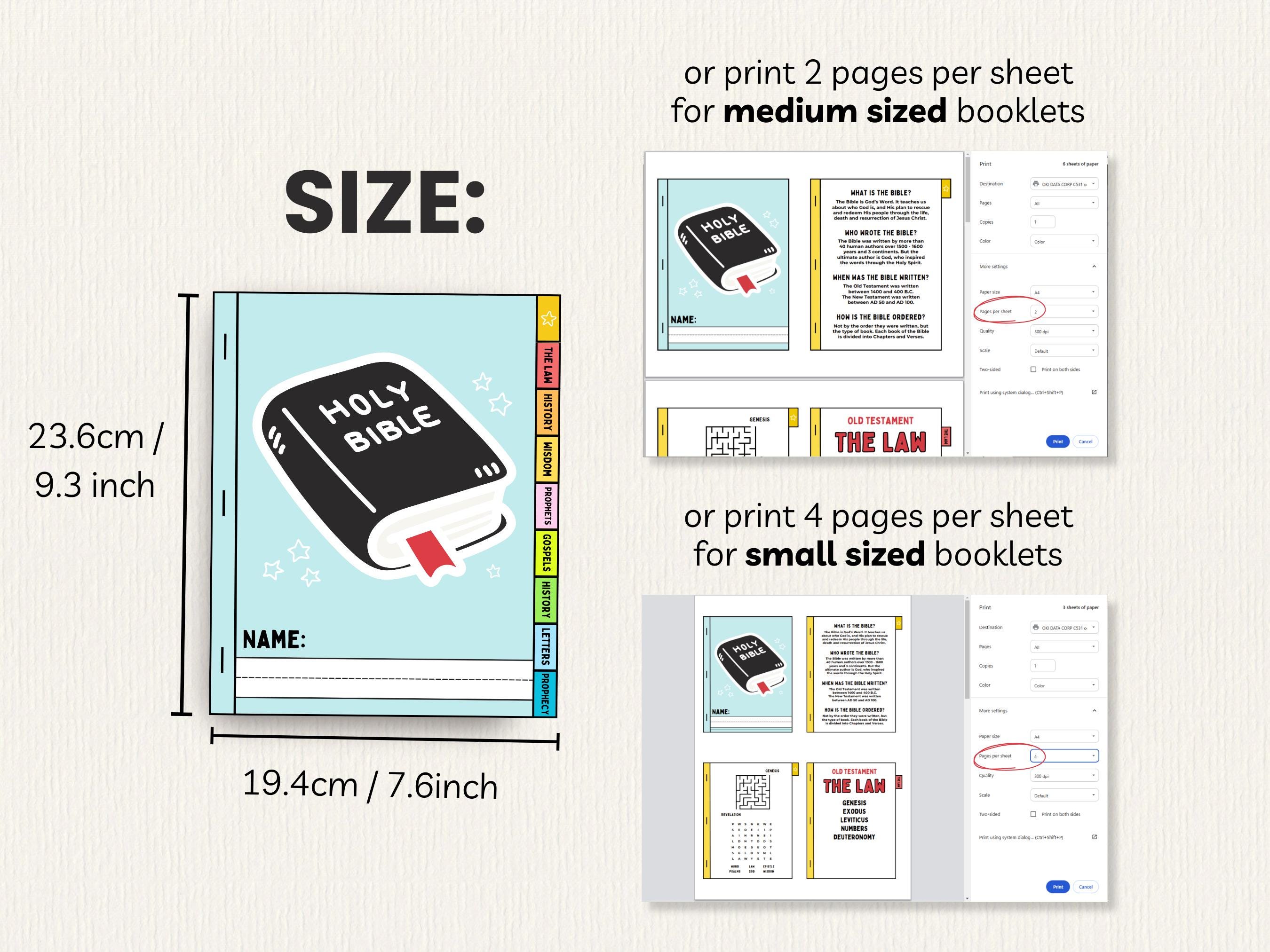Books of the Bible Booklet Printable | Sunday School Craft, Homeschool ...