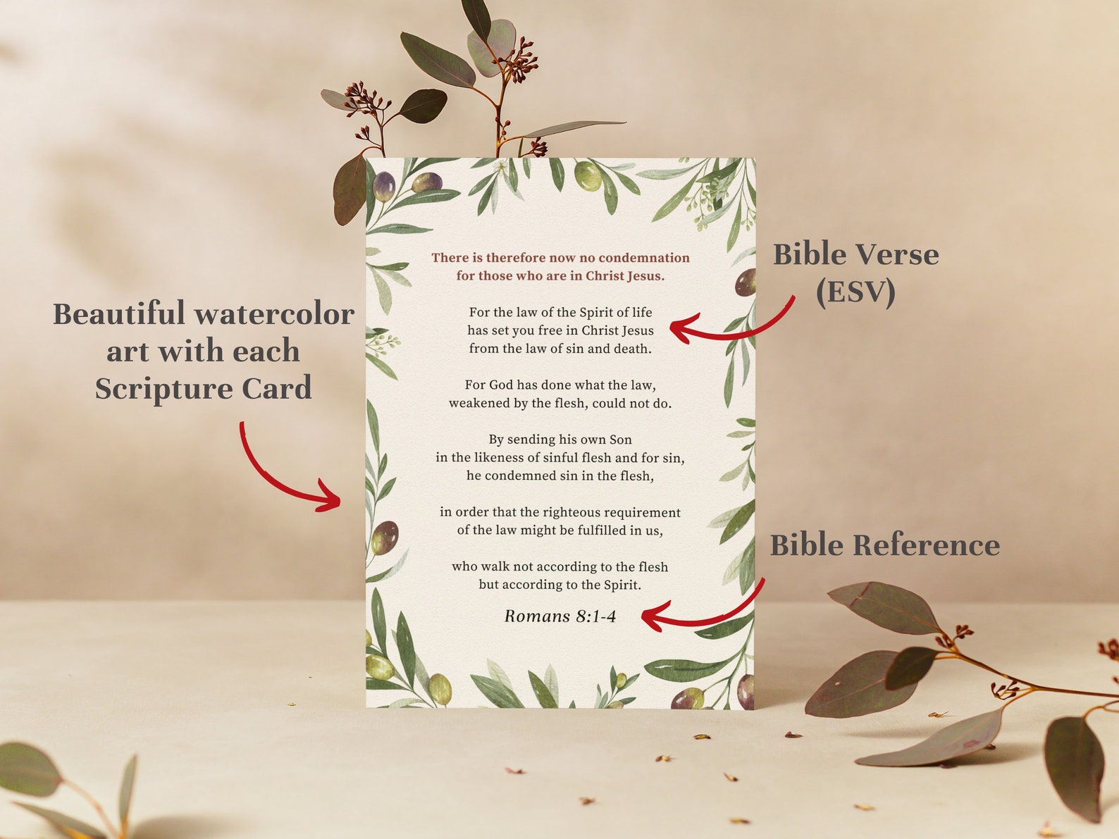 10 ESV Bible Verse Cards Printable | Olive Watercolor Scripture Memory ...
