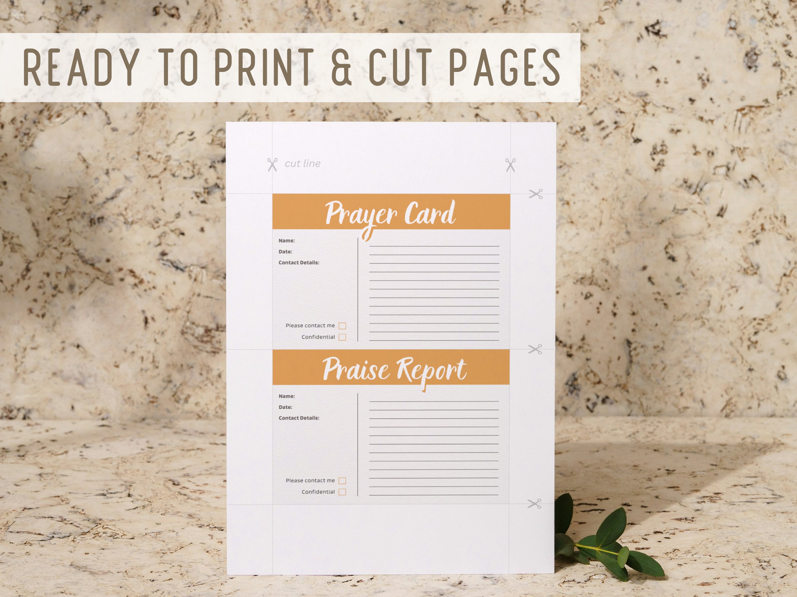 Prayer Request & Praise Report Cards Printable | Church Small Group ...