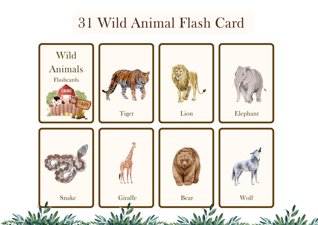 Wild Animal Flashcards for Kids - Etsy
