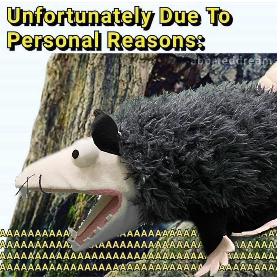 Opossum Puppet - Etsy UK