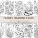 35 Flower Coloring Pages for Kids and Adults Printable 8,5''x11'' PDF ...