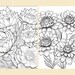 35 Flower Coloring Pages for Kids and Adults Printable 8,5''x11'' PDF ...