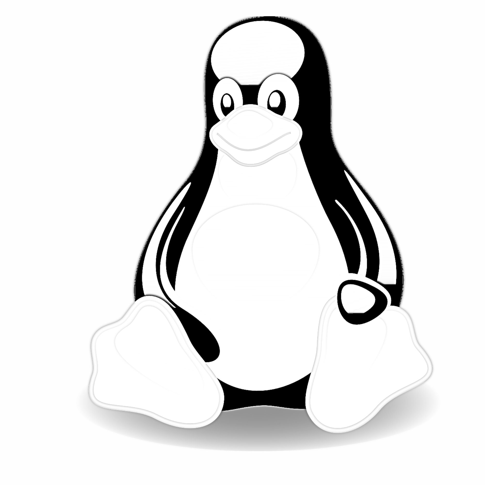 Vibrant Avian Feathered Colorful Bird Prints for Sale - Etsy