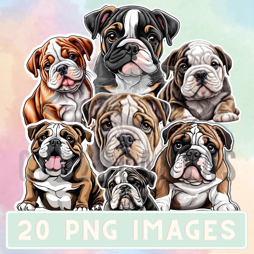 English Bulldog 20 Digital PNG Clip Art Sticker Style Images for ...