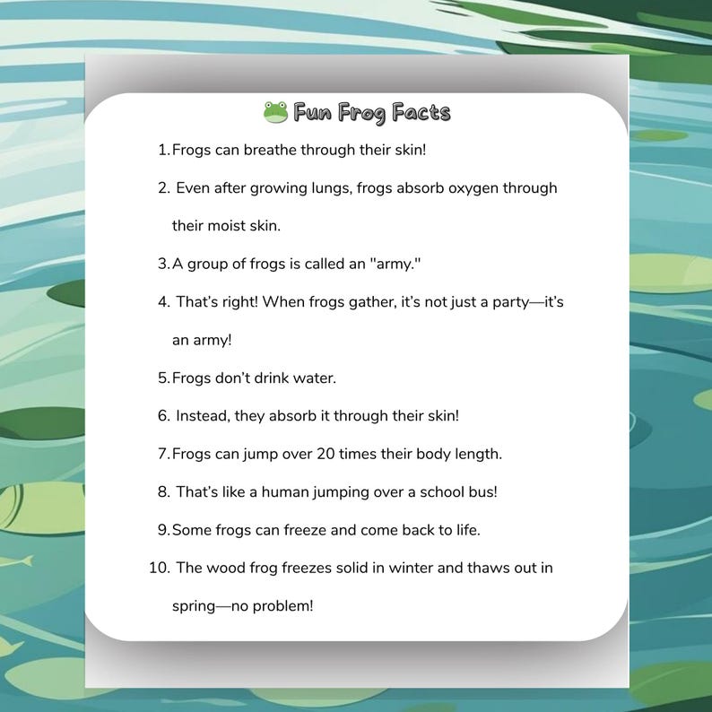 Life Cycle of a Frog - Etsy