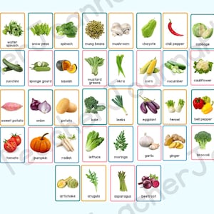 44 Vegetables Flashcards | Printable Real Pictures Flashcards ...