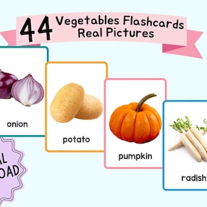 44 Vegetables Flashcards | Printable Real Pictures Flashcards ...