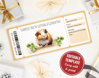 Editable Maldives Boarding Pass Template, Personalized Printable ...