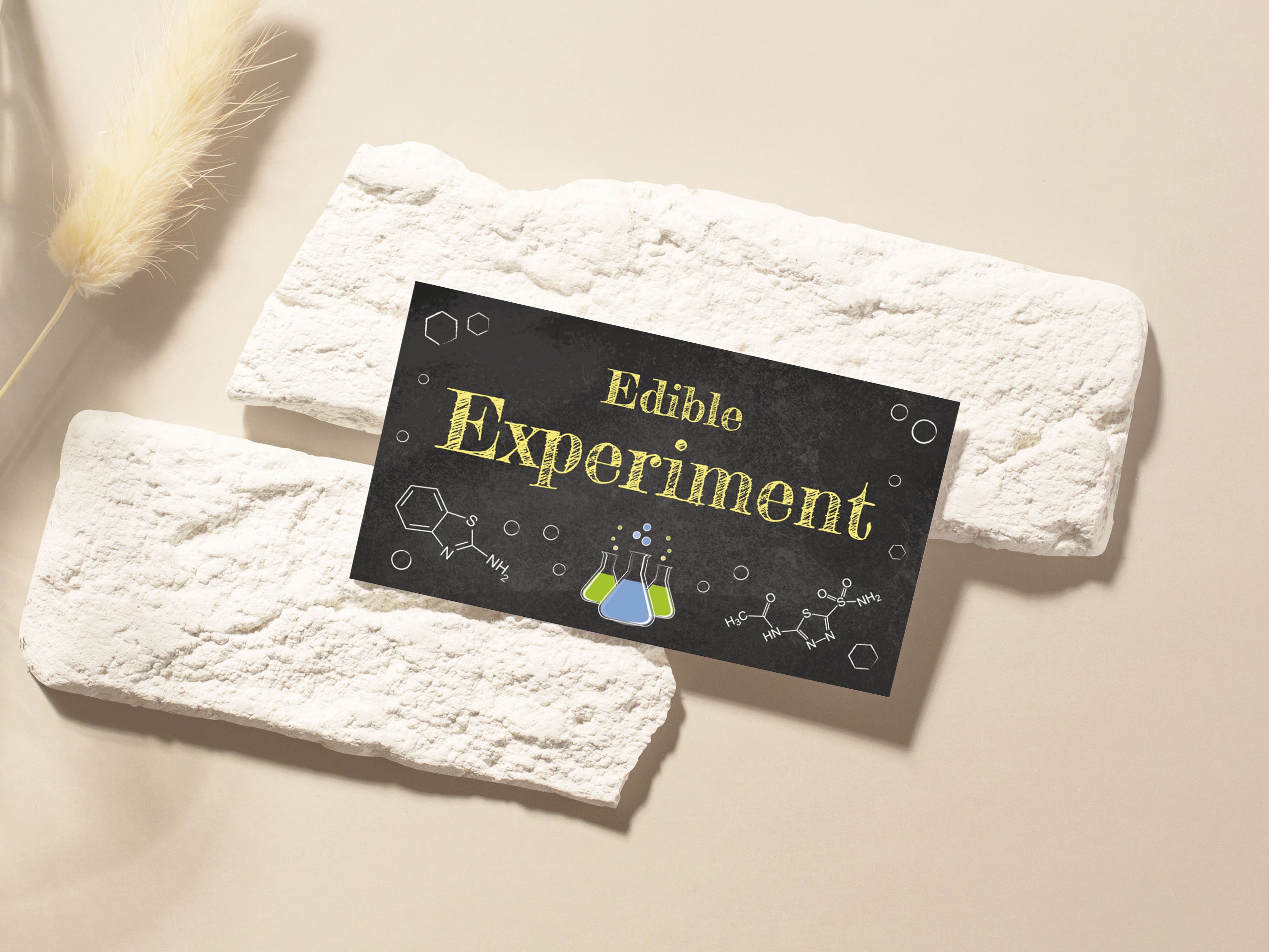 Editable Science Party Food Tents Template, Science Theme Party Buffet ...