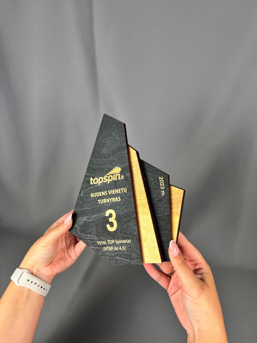 Corporate Excellence Collection - Custom Trophies, Business Recognition ...