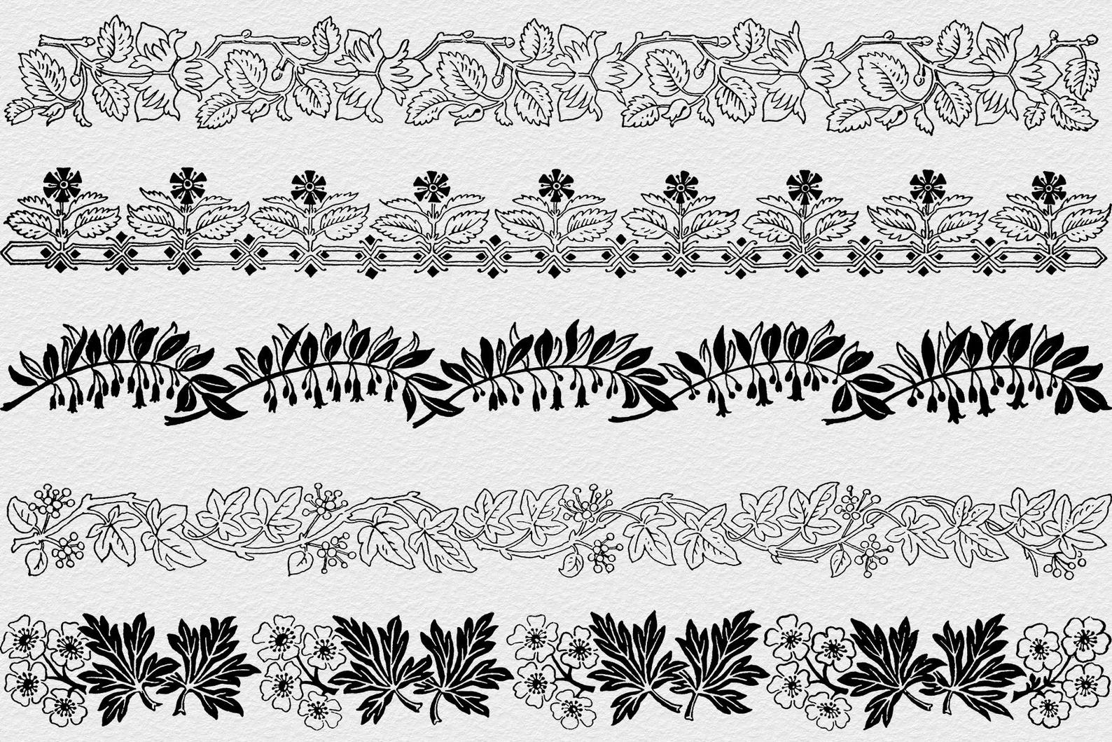 Vintage Nature Borders With Floral Designs, High-resolution Botanical ...