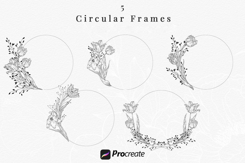 Procreate Floral Line Art Fames, Procreate Floral Illustrations ...