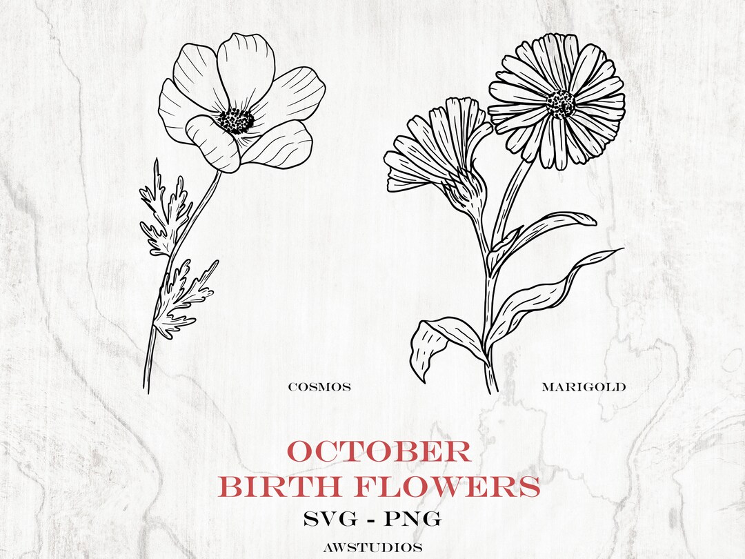 Birth Month Flower SVG and PNG Bundle October Birth Month - Etsy