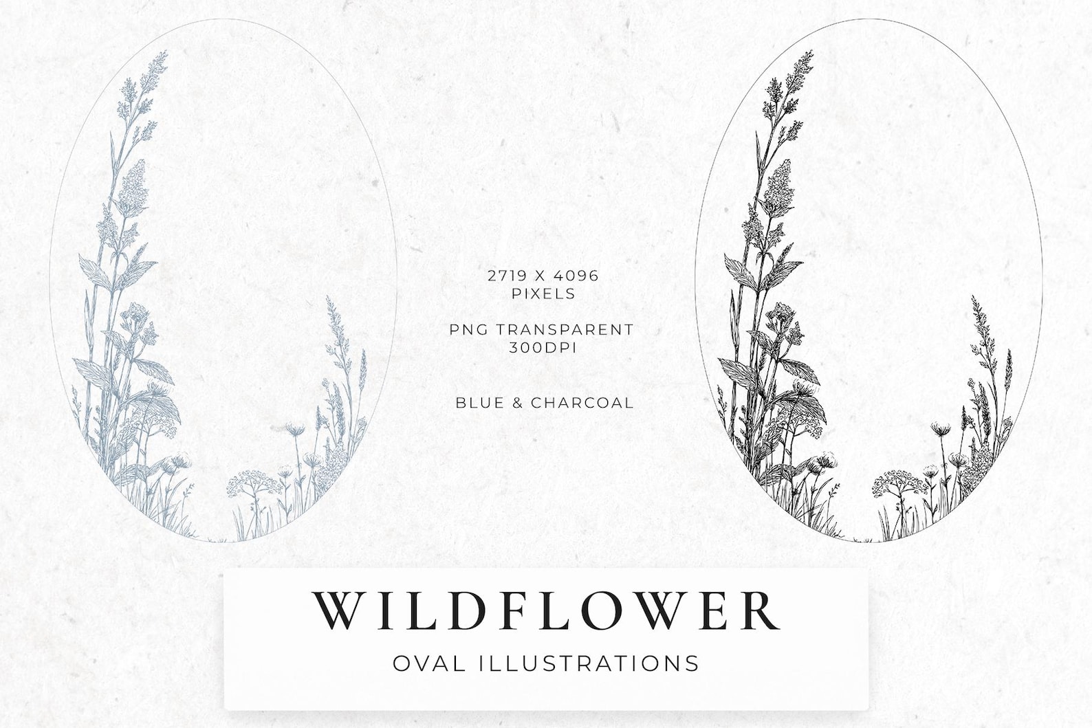 Wildflower Frames & Borders Clipart: Wedding Invitation Graphics ...
