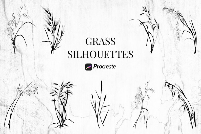 Procreate Fern & Grass Stamps: Silhouette Illustrations (digital ...