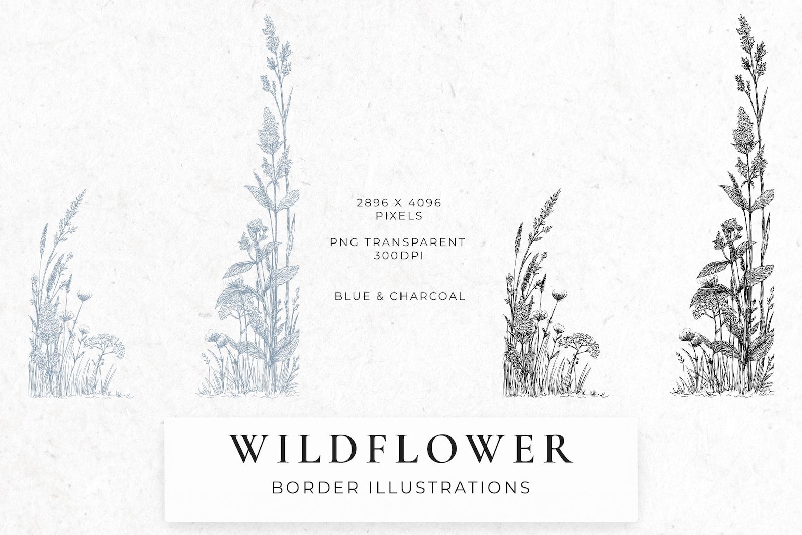 Wildflower Frames & Borders Clipart: Wedding Invitation Graphics ...