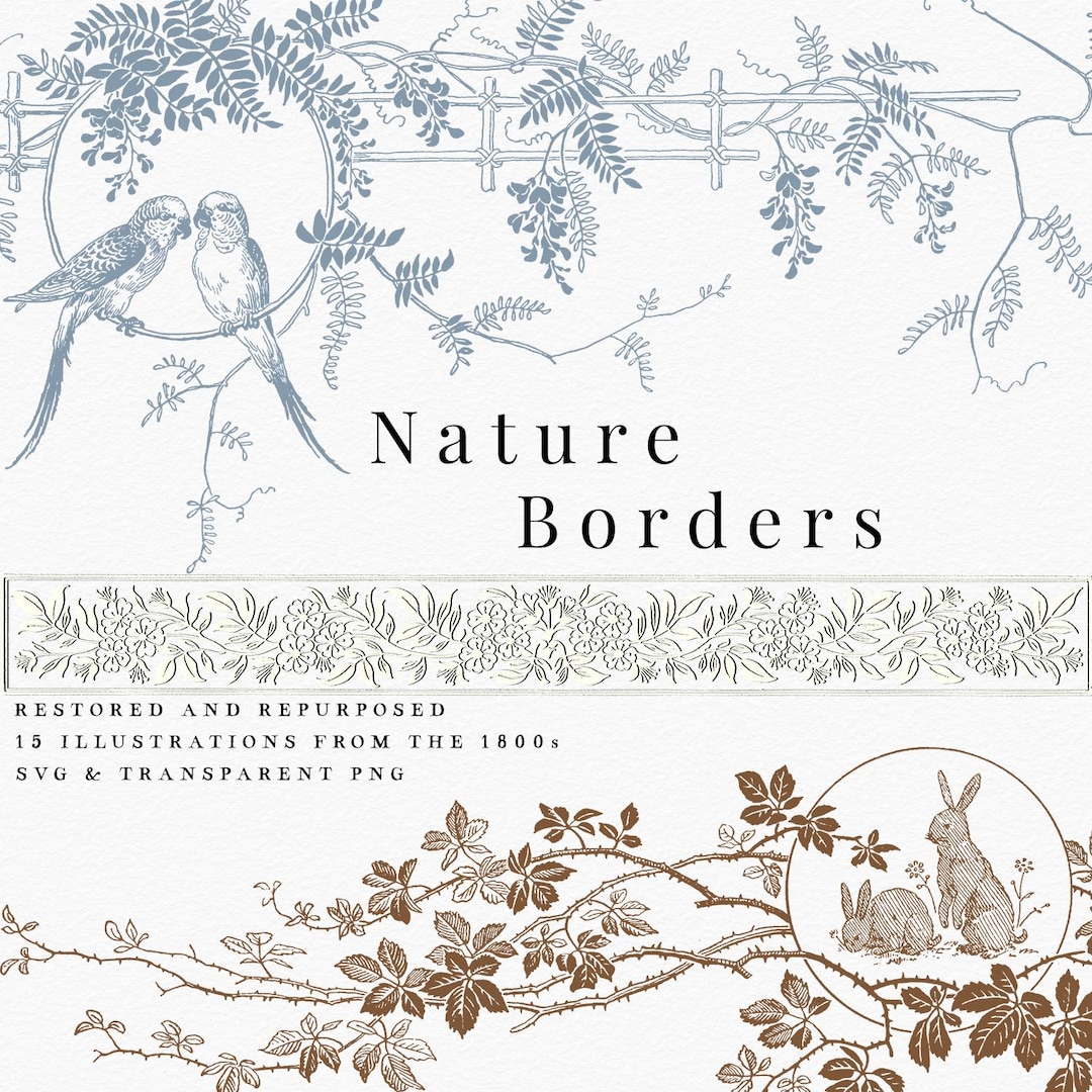 Vintage Nature Borders With Floral Designs, High-resolution Botanical ...