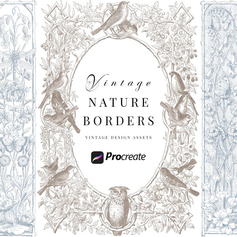 Procreate Nature Borders, Procreate Vintage Illustrations, Vintage ...