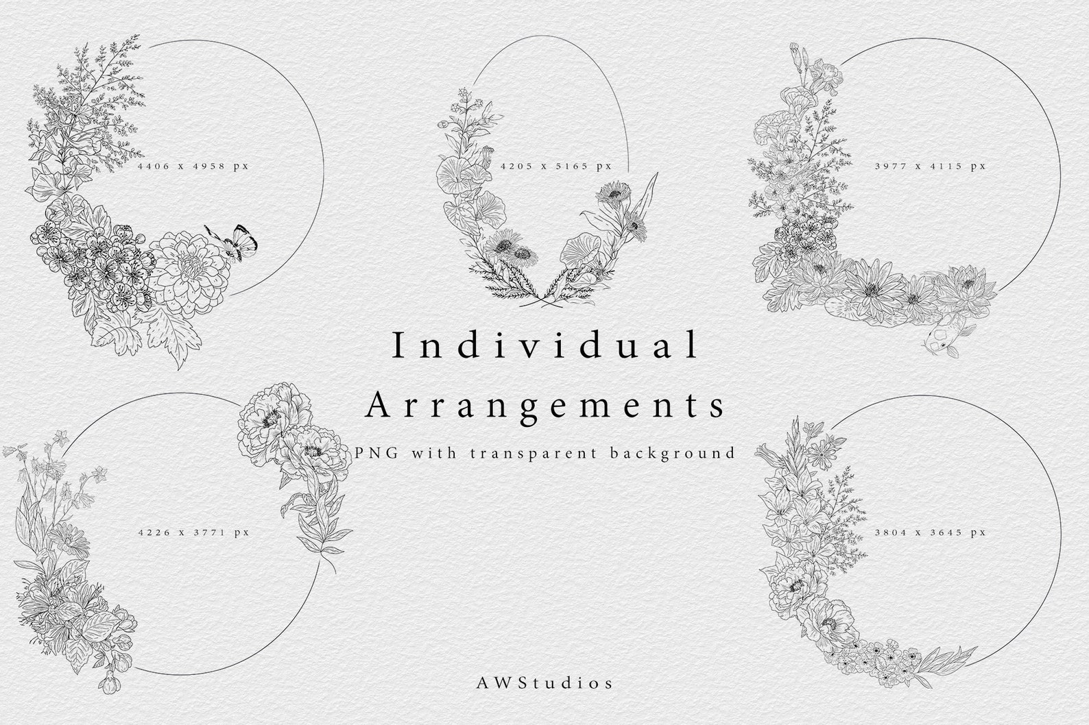 Wildflower Frames SVG and PNG , 10 Floral Botanical Frames for ...
