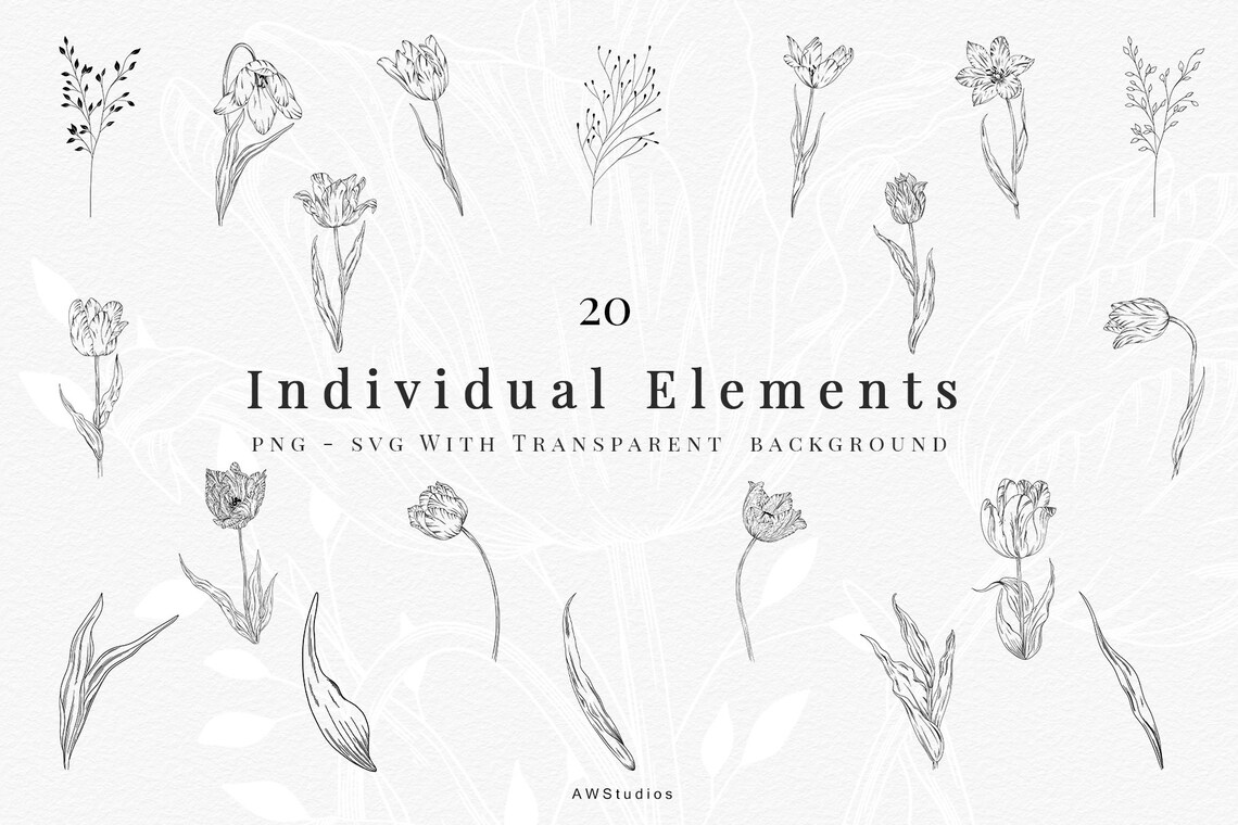 Tulips Line Art Collection, Floral Line Art, Tulip Tree Bloom Flower ...