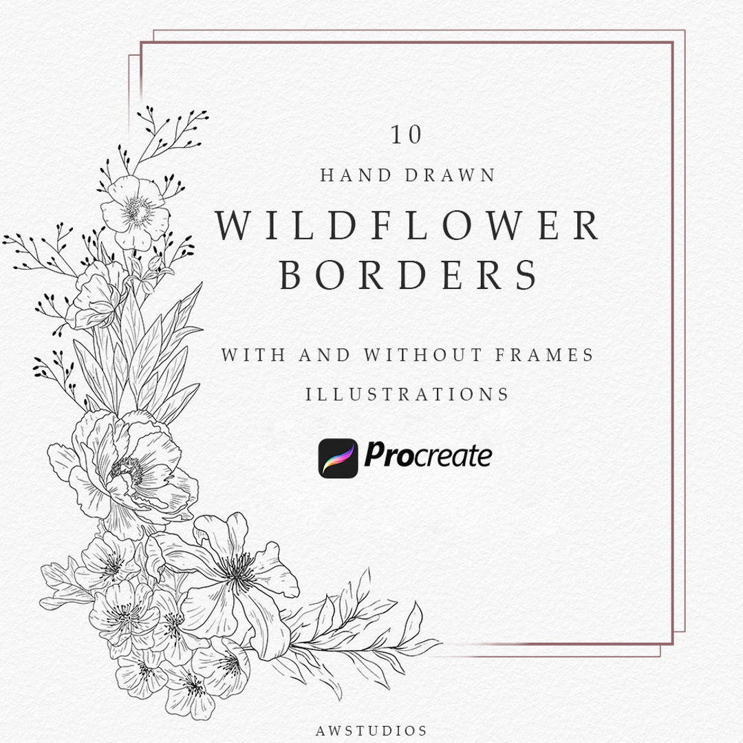 Procreate Floral Line Art, Wildflower Border Stamps, Procreate Brushes ...
